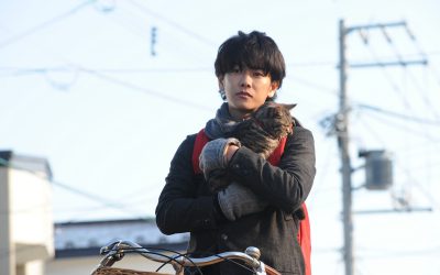 The 16 Best Japanese Romance Movies | Cinema Escapist